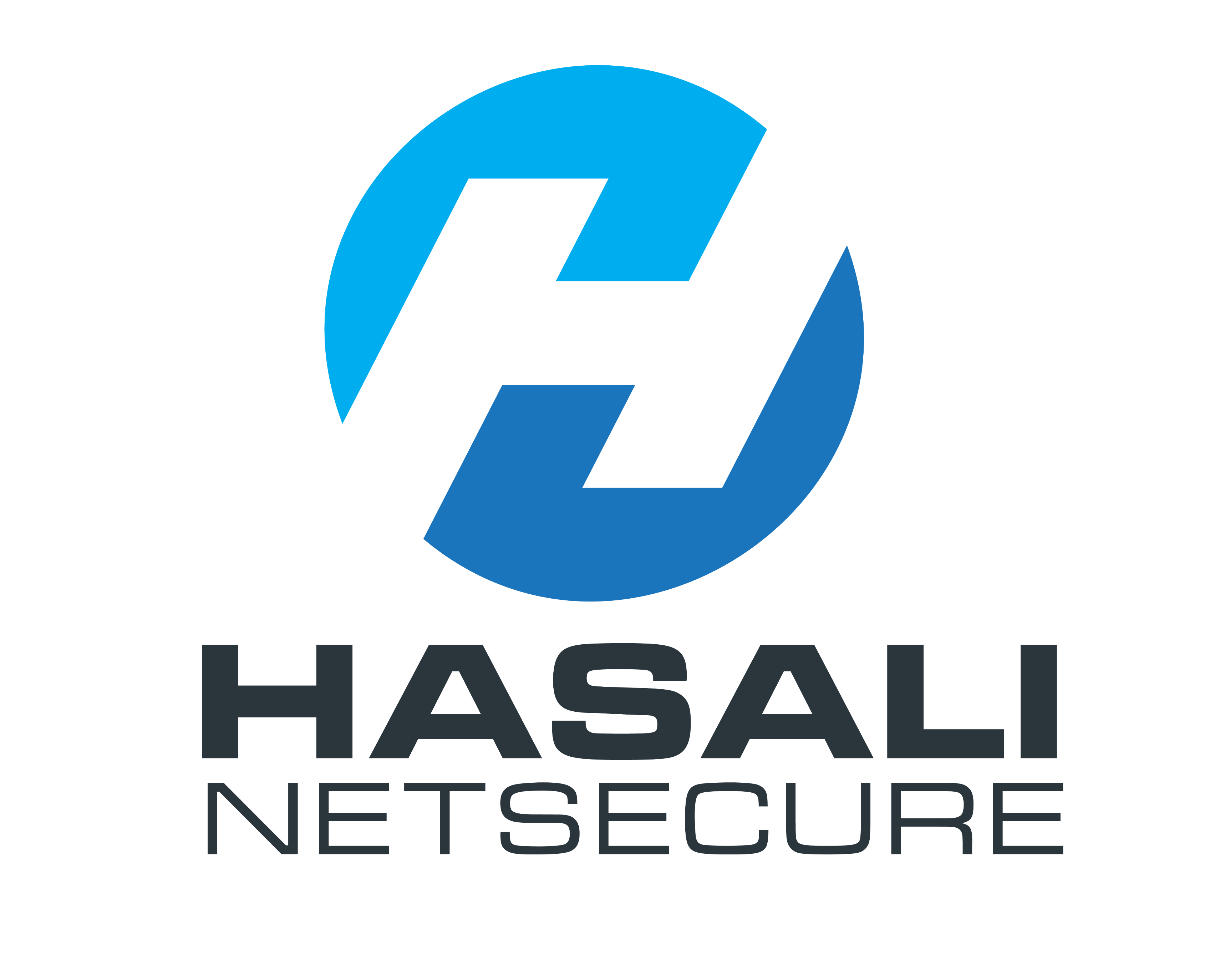 HASALI NETSECURE